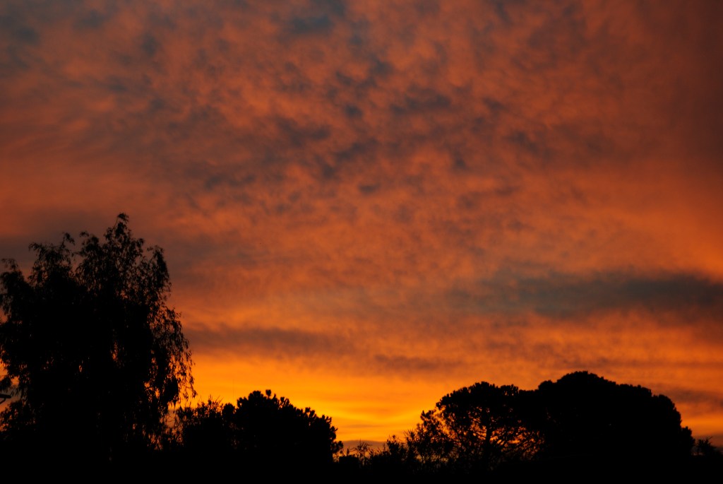 The Quran of Al-Fajr: Quran that is Witnessed – Sadaf’s Space: From ...